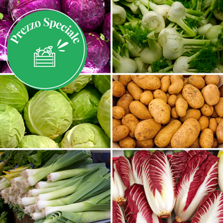 Orteat — Frutta e verdura biologica a domicilio